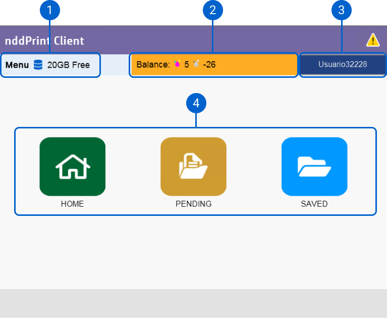 NDD Print MF and Client HP